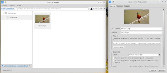 Cómo conectarse en remoto a Raspberry Pi OS con RealVNC.